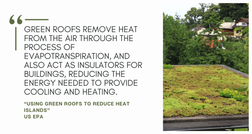 Design Strategies in Sustainable Architecture